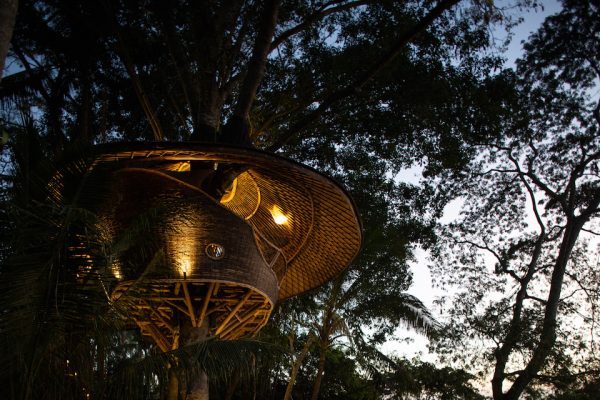 Chiara's Treehouse unveiled - Green by John and Cynthia